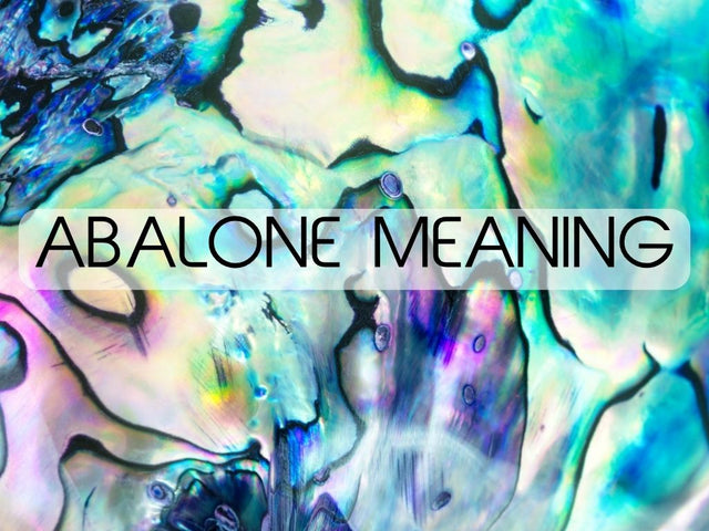 Abalone Meaning: This Shell Is More Powerful Than It Looks – MelloMary