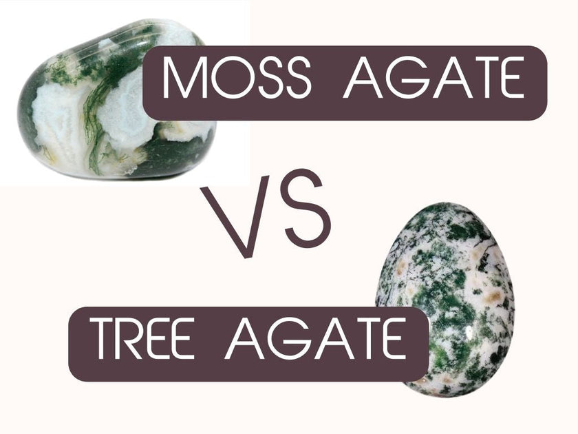 Tree Agate vs Moss Agate: Which One Belongs in Your Collection? – MelloMary